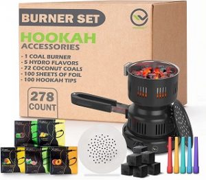 How To Choose The Best Coal Stove To Fits Your Needs?